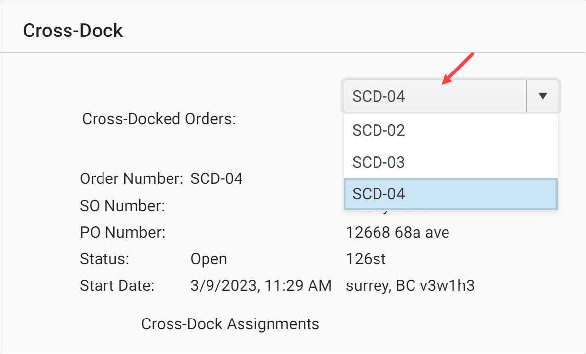 Cross-Dock Multiple Shipping Orders – Da Vinci Unified